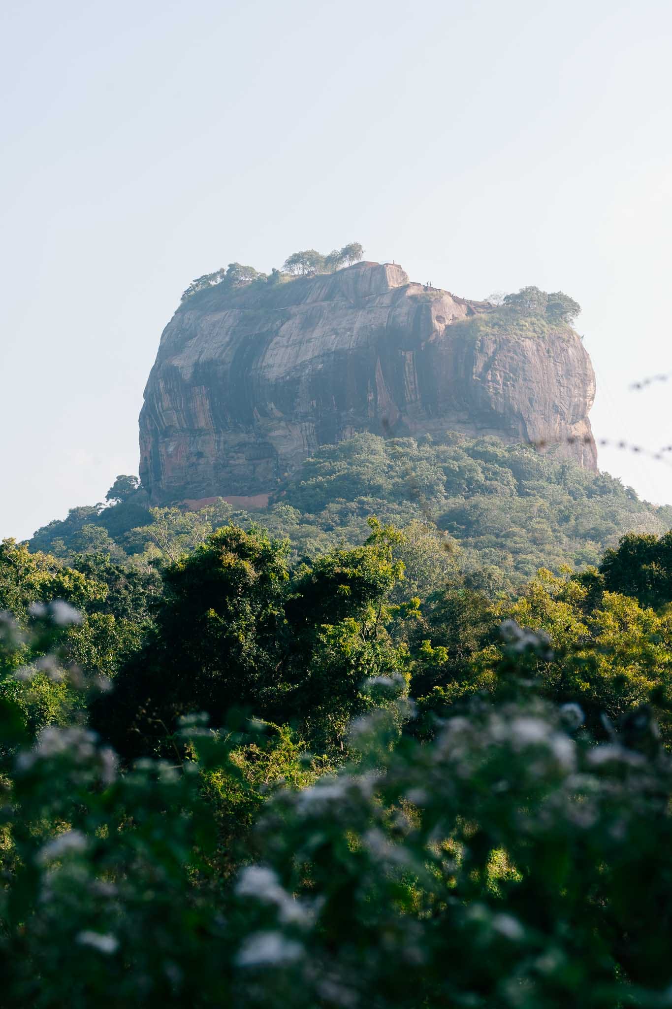 Préparer son voyage au Sri Lanka : Mon guide complet